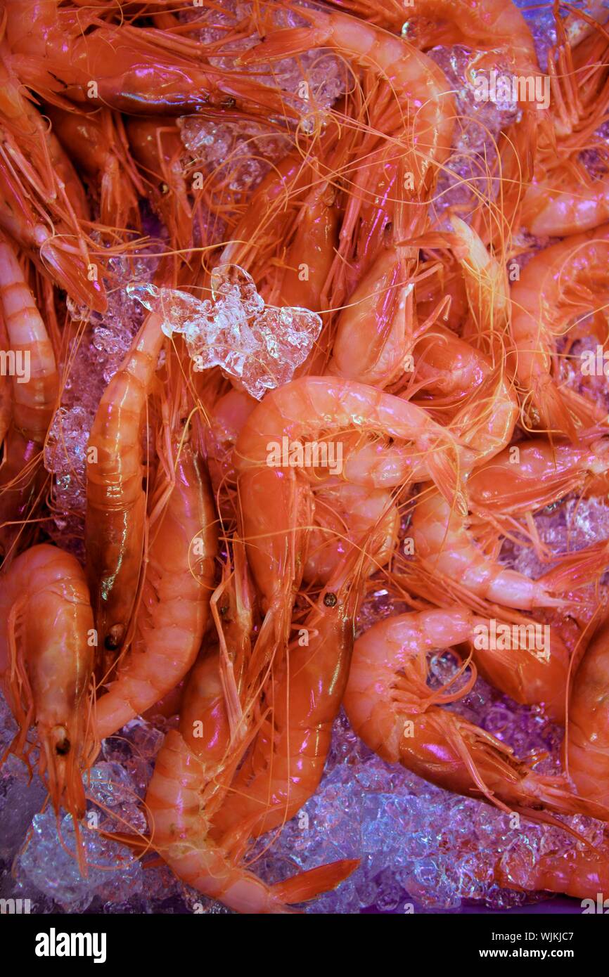 Orange shrimp, prawn, over ice surface, crustacean texture Stock Photo ...