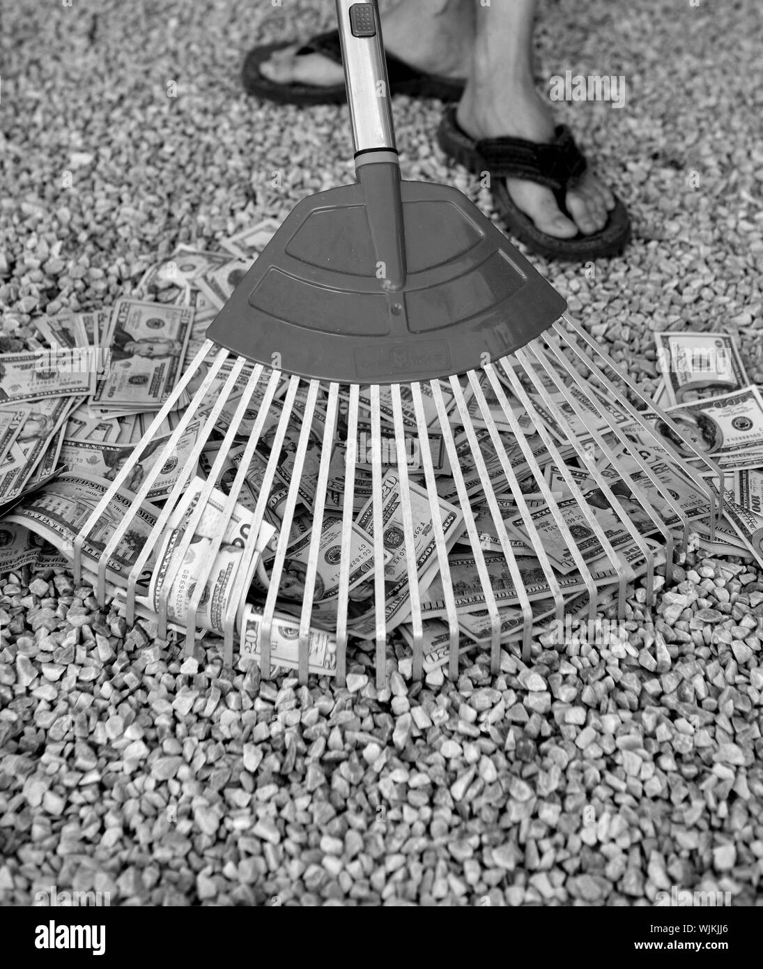 Cleaning black dolar money with rake, metaphor of abundance Stock Photo ...
