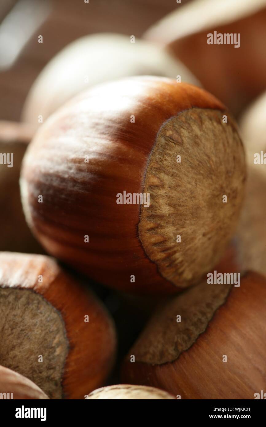 Delicious hazelnuts, macro detail, warm golden light, studio shot Stock ...