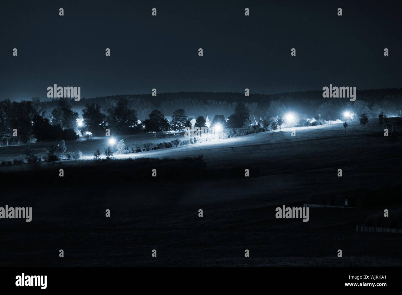 park at night with lights nature and trees Stock Photo - Alamy