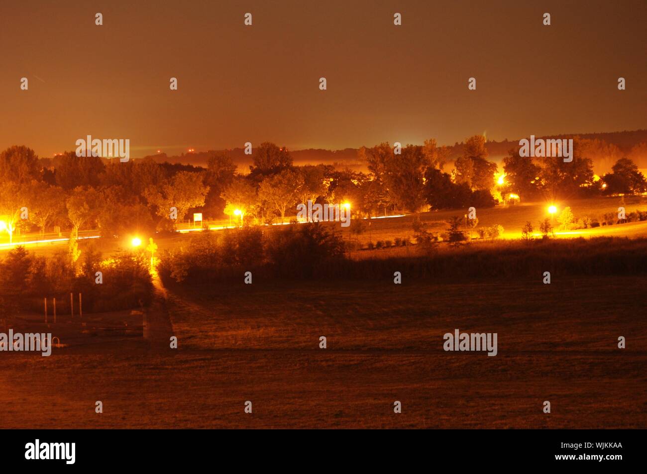 park at night with lights nature and trees Stock Photo - Alamy