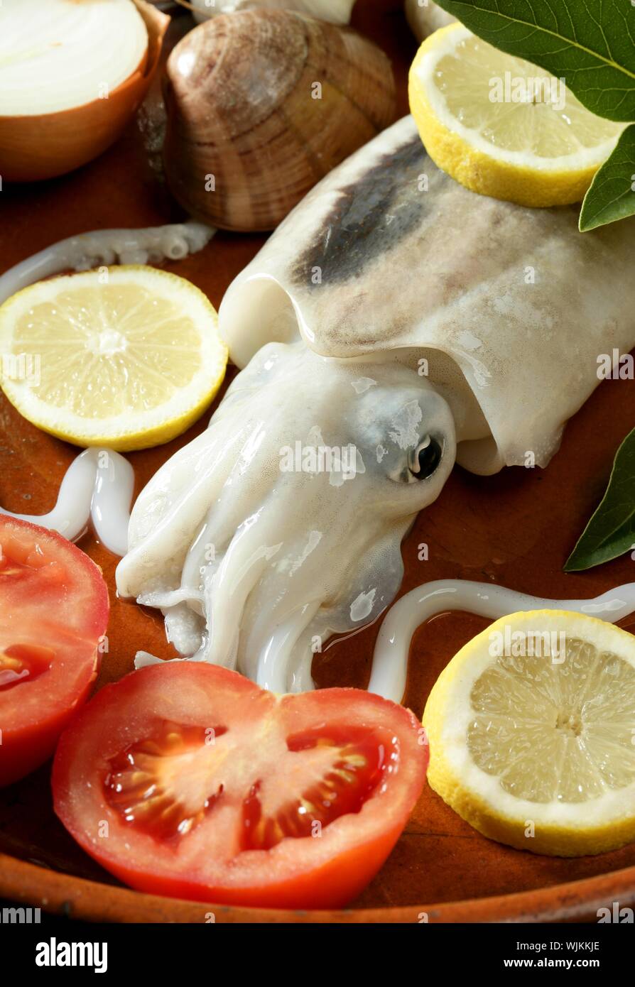 Cuttlefish uncooked, Squid Mediterranean seafood at studio Stock Photo ...