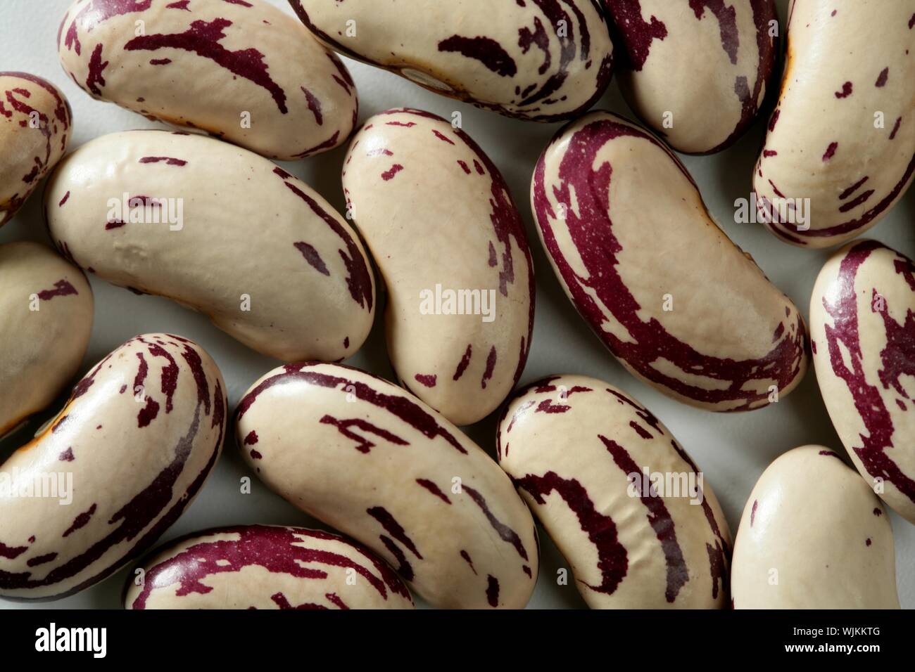 Dried beans macro at studio white background Stock Photo - Alamy