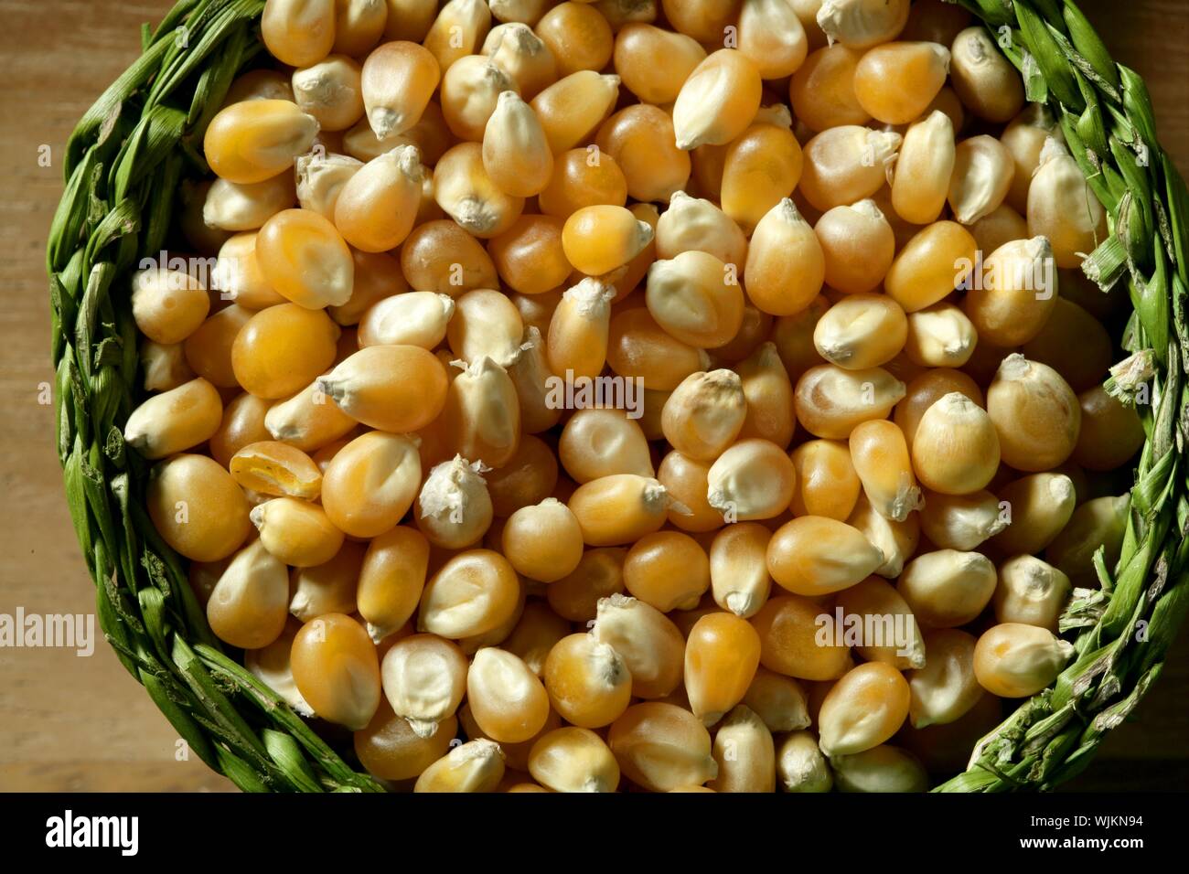 Dried macro corn seeds in orange color, as a texture background crop ...