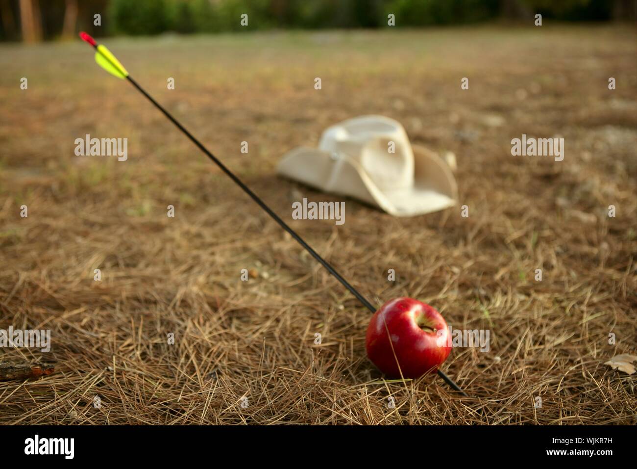 William tell metaphor with red apple and arrow in the forest Stock ...