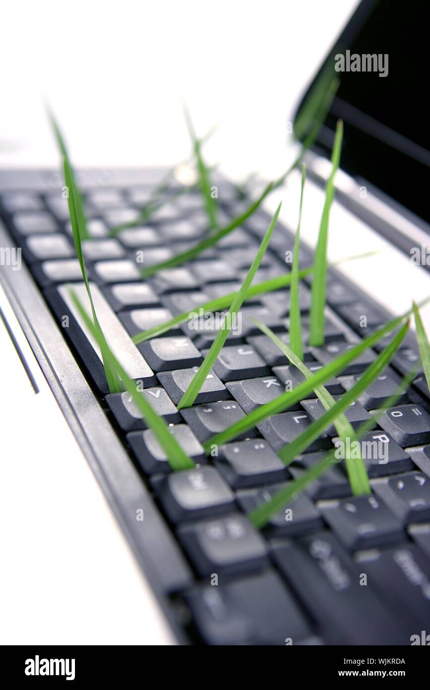 Grass growing from computer keyboard hi-res stock photography and ...