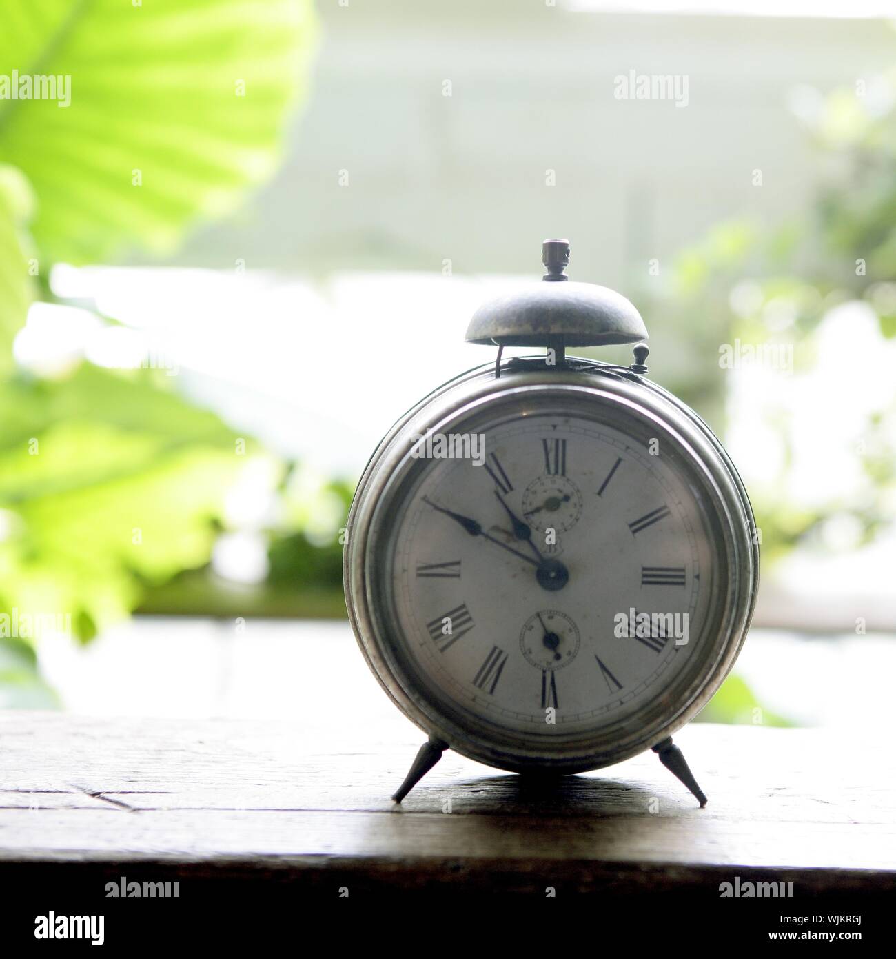 Old alarm bell clock at the window backlit in a house room with plants ...