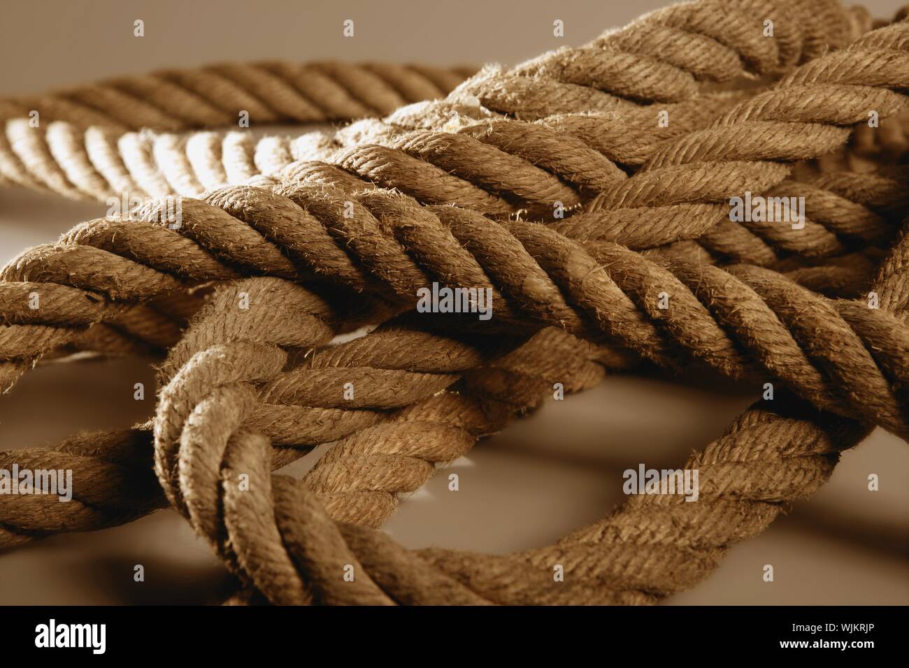 Corded border hi-res stock photography and images - Alamy