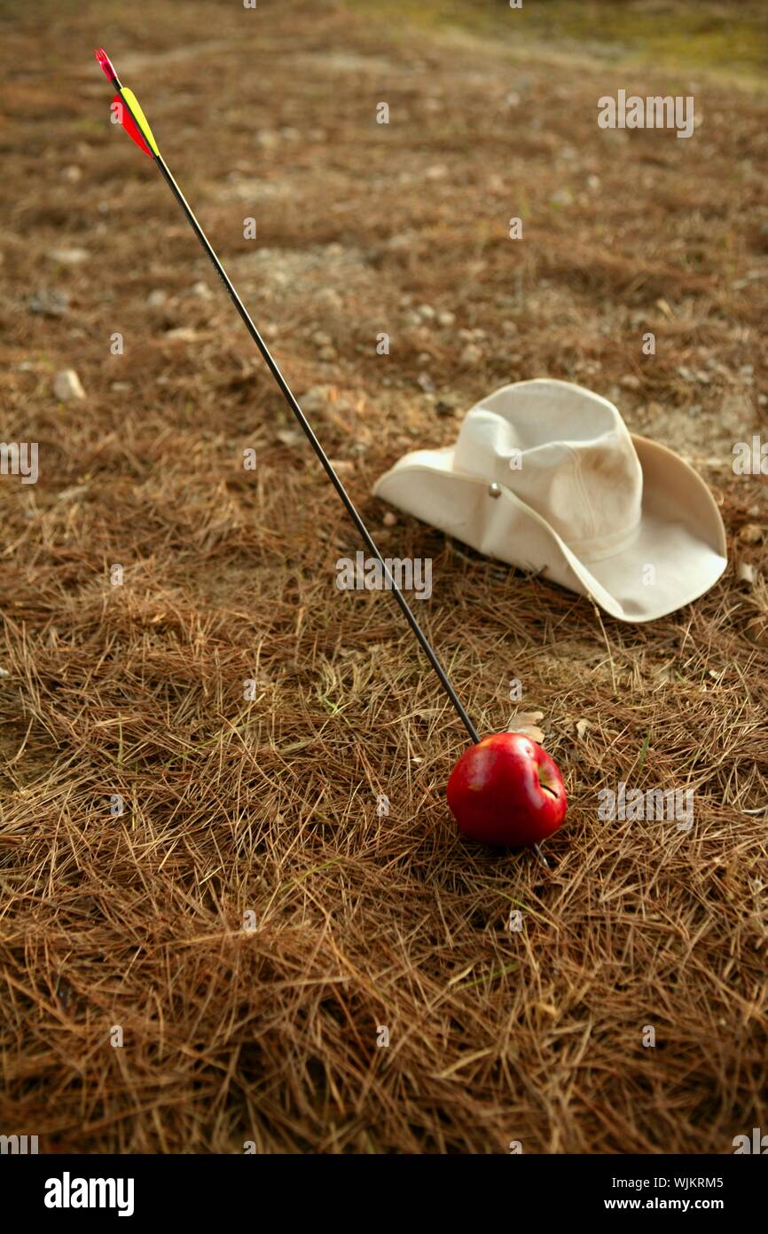 William Tell Apple Arrow