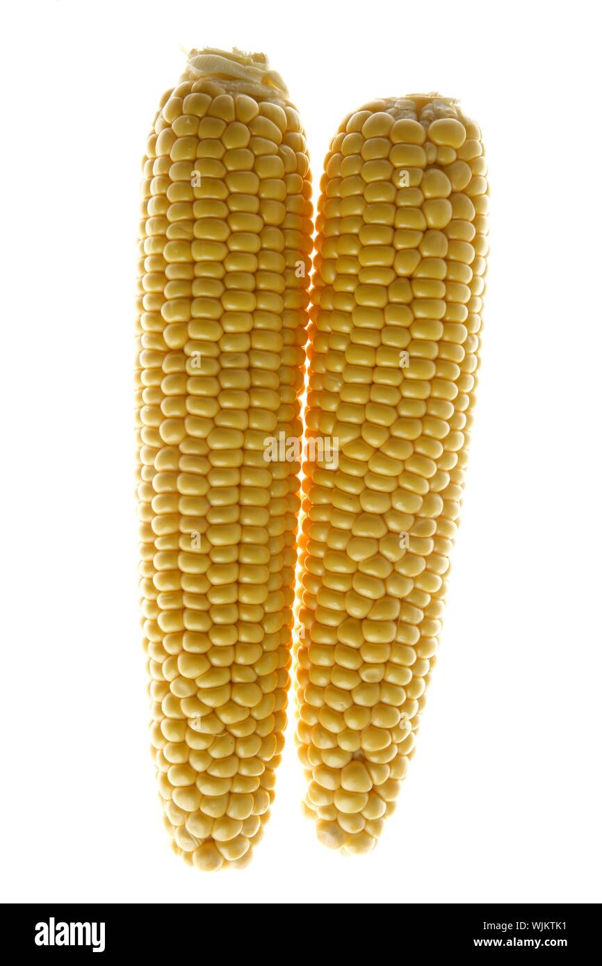 Corn farming detail Cut Out Stock Images & Pictures - Alamy