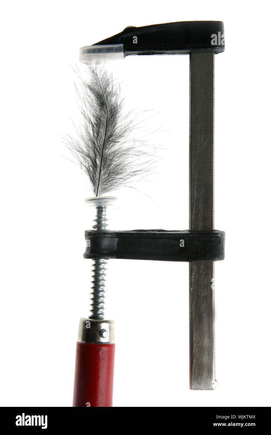 Silver feather detail Cut Out Stock Images & Pictures - Alamy