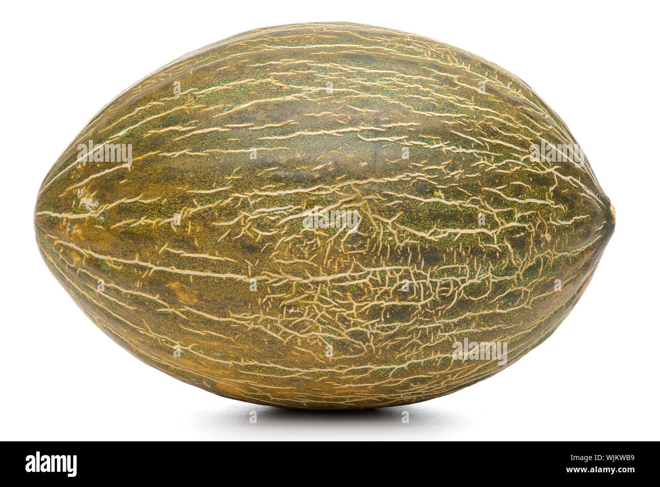 Green melon isolated on white background Stock Photo - Alamy