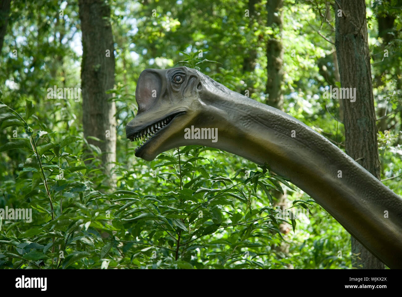 Head of a prehistoric dinosaur in the forest Stock Photo - Alamy