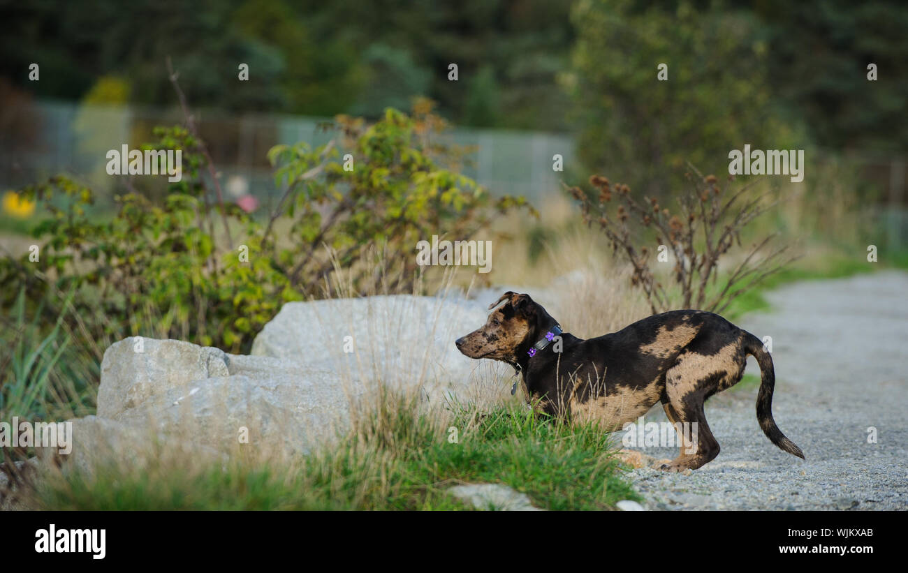 Kneeling on grass hi-res stock photography and images - Alamy