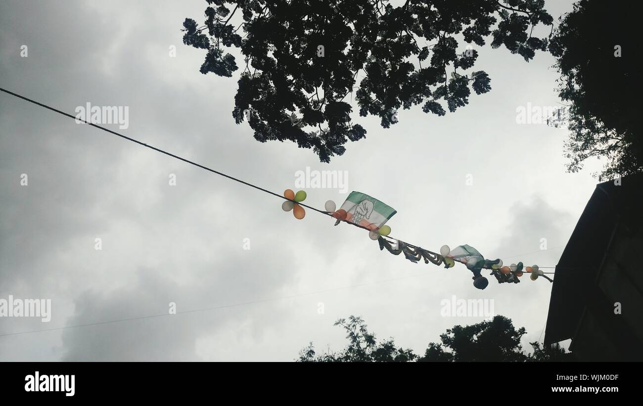 Balloon hanging from tree hi-res stock photography and images - Alamy