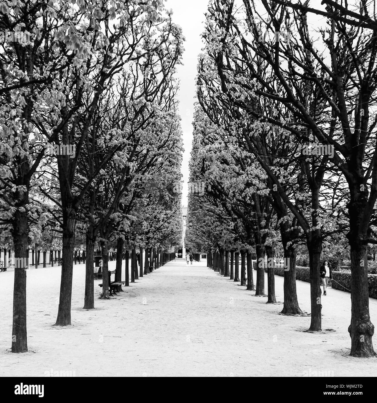 Vanshing point hi-res stock photography and images - Alamy