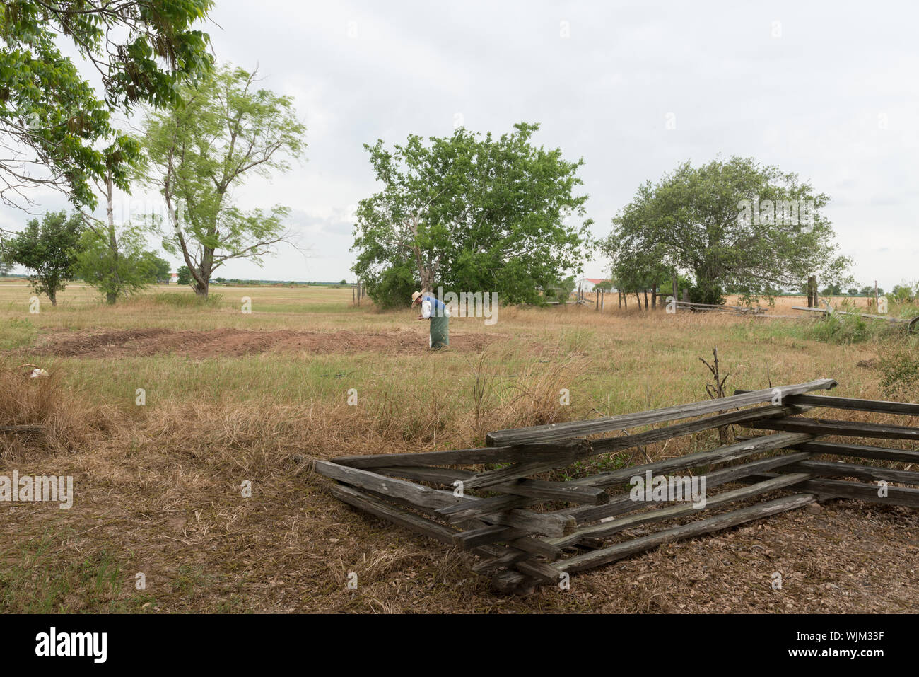 Tina griffith hi-res stock photography and images - Alamy