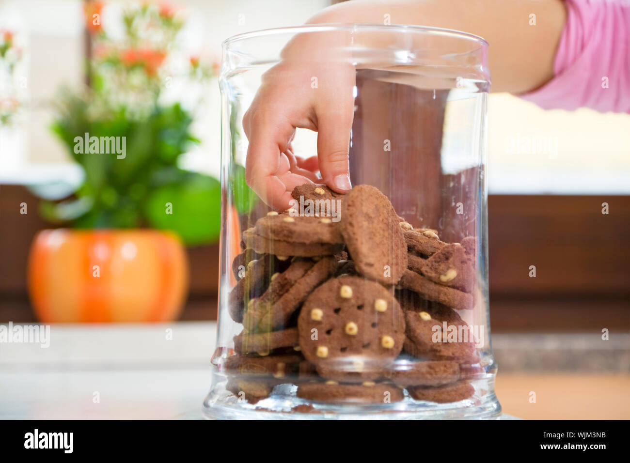 little girl stealing some cookies from the jar Stock Photo - Alamy