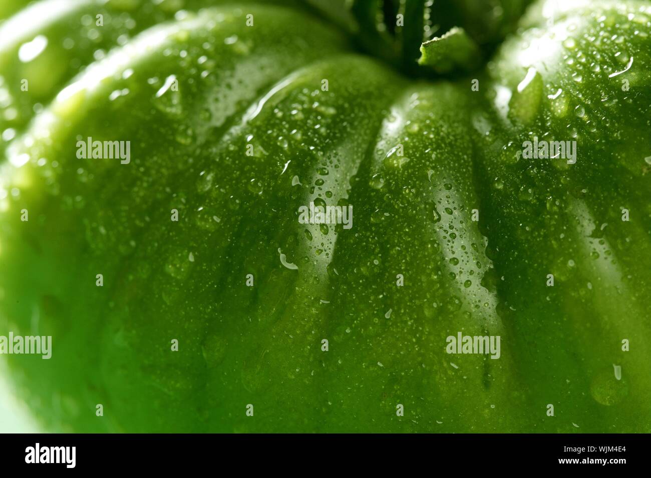 One green macro tomato, wet skin, studio shot Stock Photo - Alamy