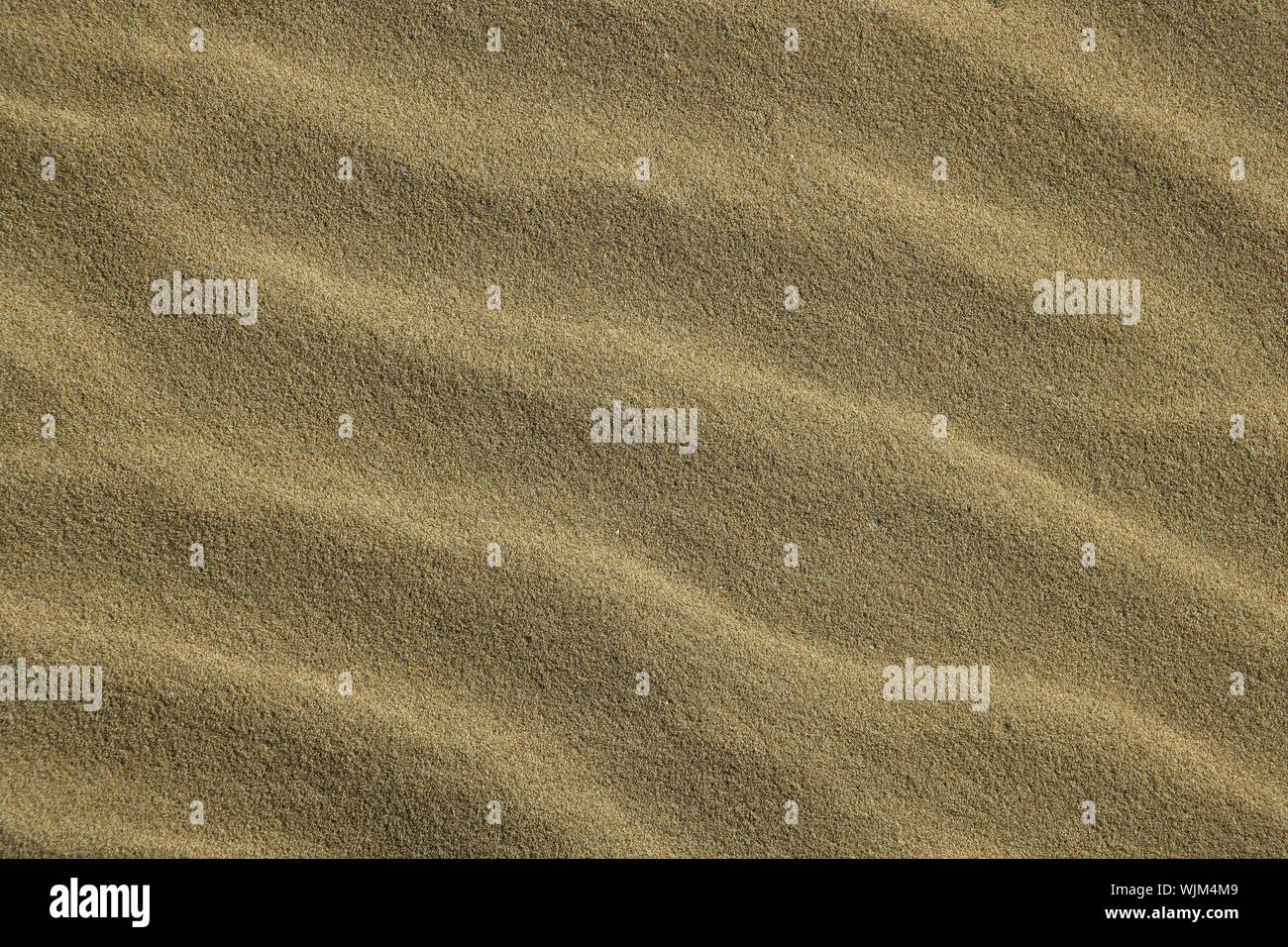 Wavy sea shore sand texture on sunshine, golden macro background Stock ...