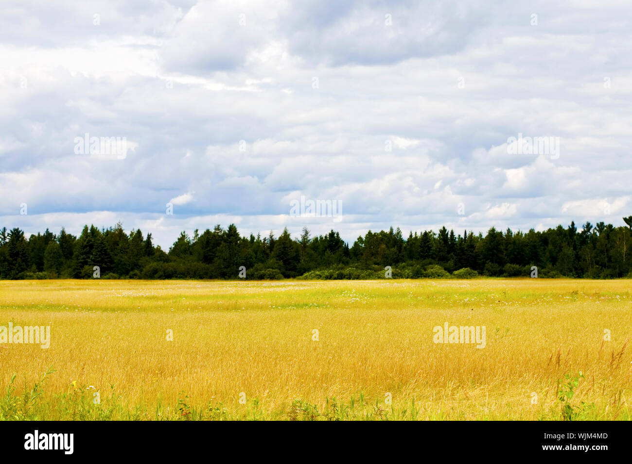 Cumulus clouds over prairie hi-res stock photography and images - Alamy