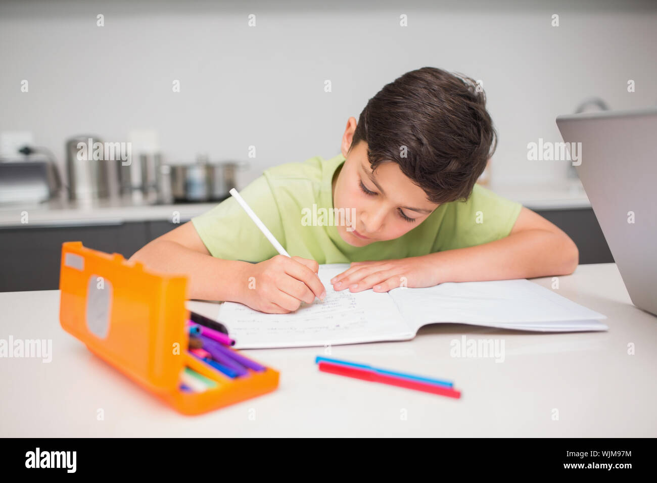 Concentrated young boy doing homework in the kitchen at home Stock ...