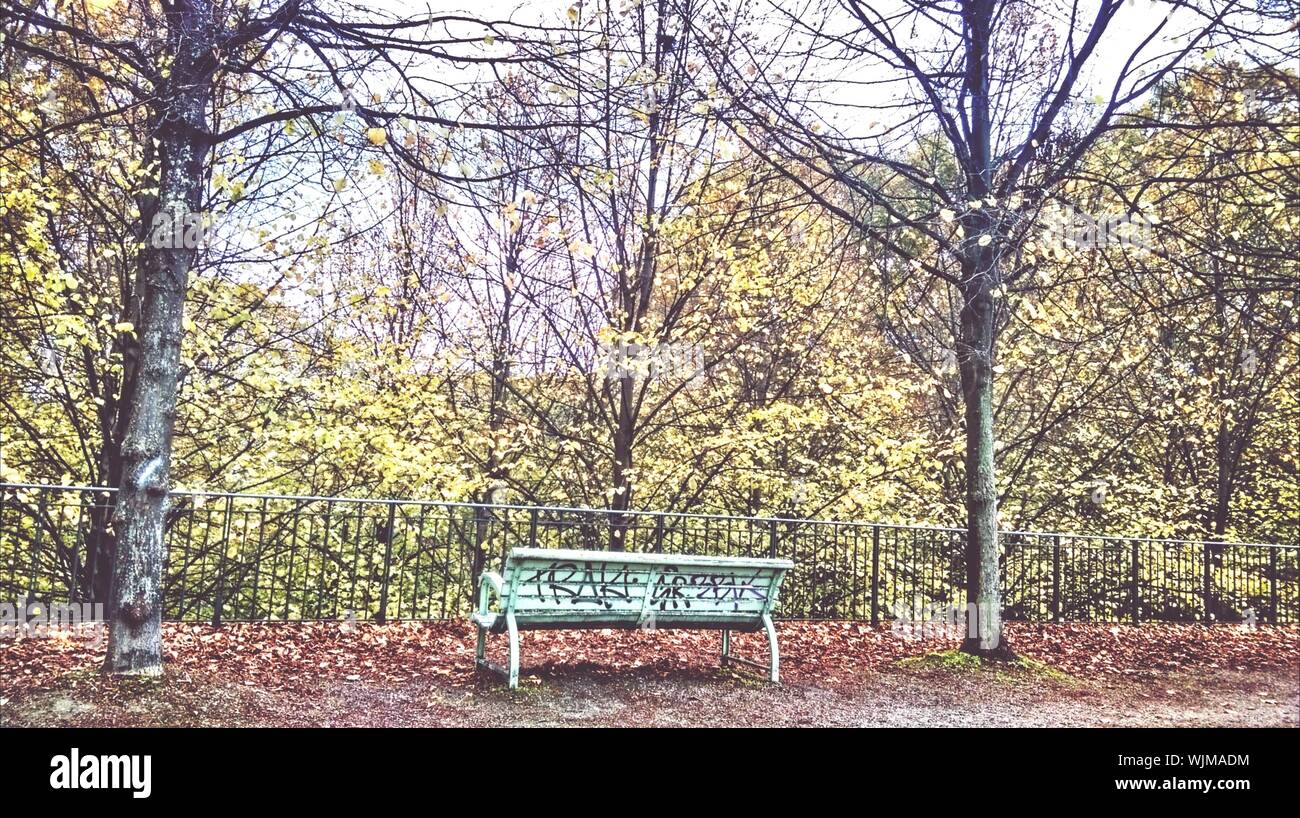 Graffiti Bench High Resolution Stock Photography and Images - Alamy