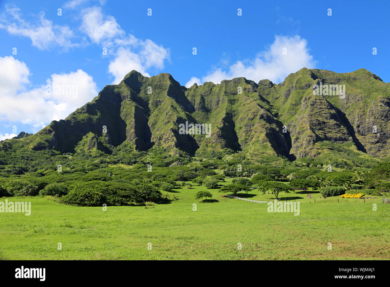 Kualoa Ranch - Oahu, Hawaii Stock Photo - Alamy