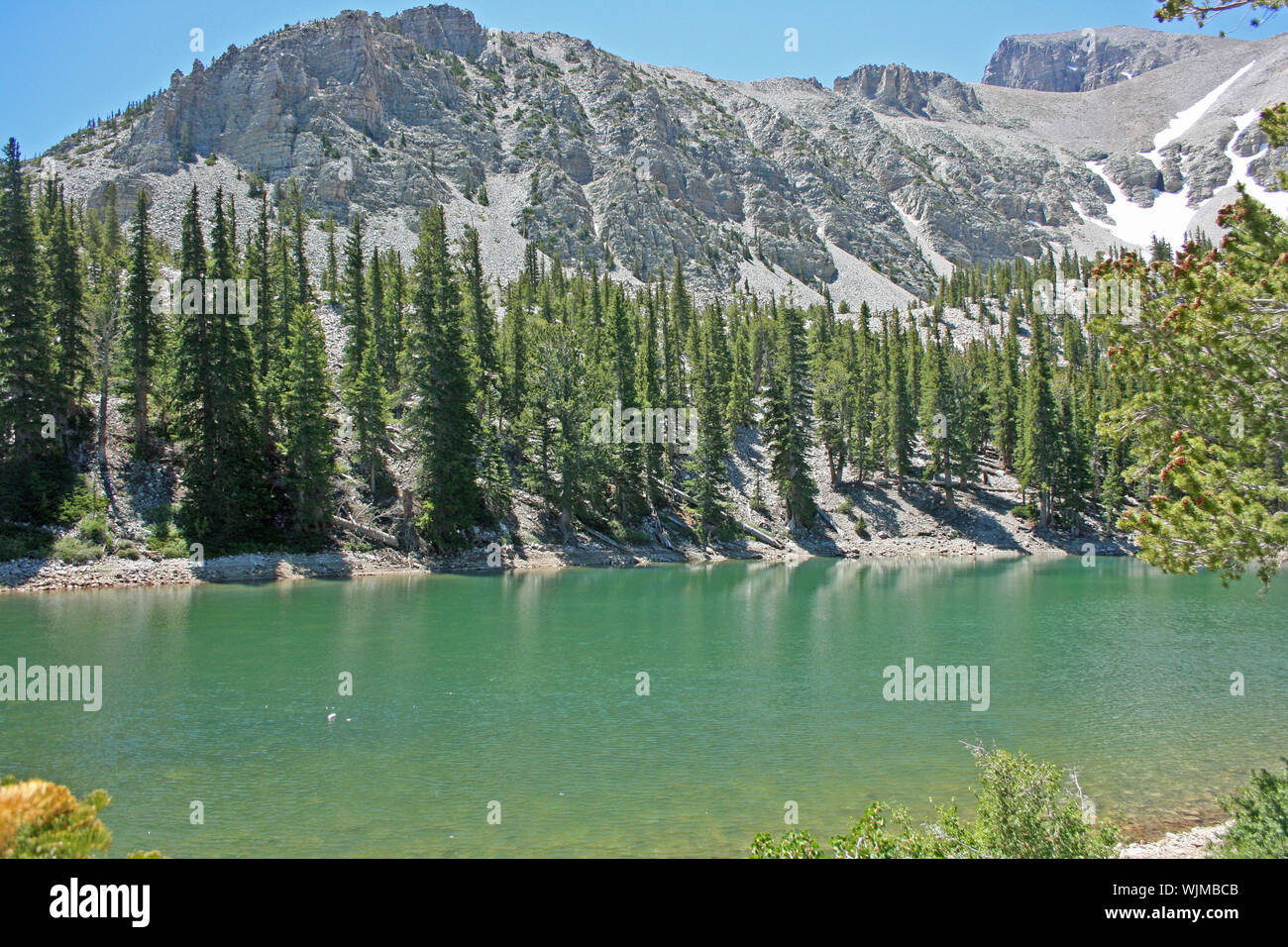 Turquoise lake, forest and mountains, Nevada Stock Photo - Alamy