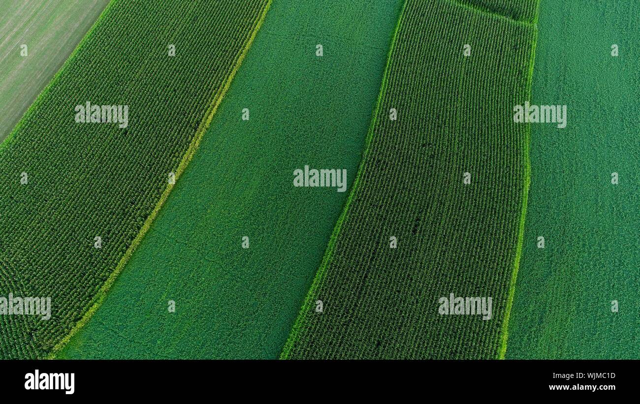 Strip cropping hi-res stock photography and images - Alamy