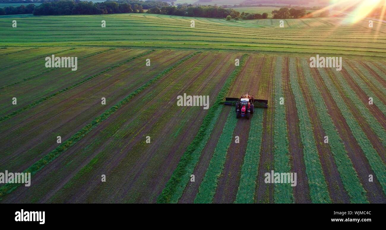 Aerial view of red Massey Ferguson 1880 tractor mowing and cutting ...