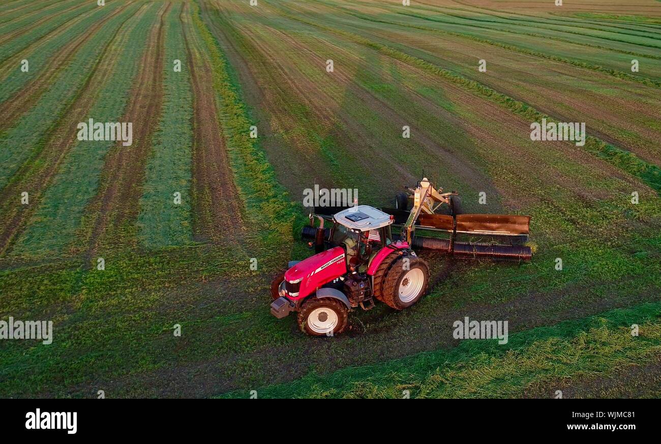 Aerial view of red Massey Ferguson 1880 tractor mowing and cutting ...