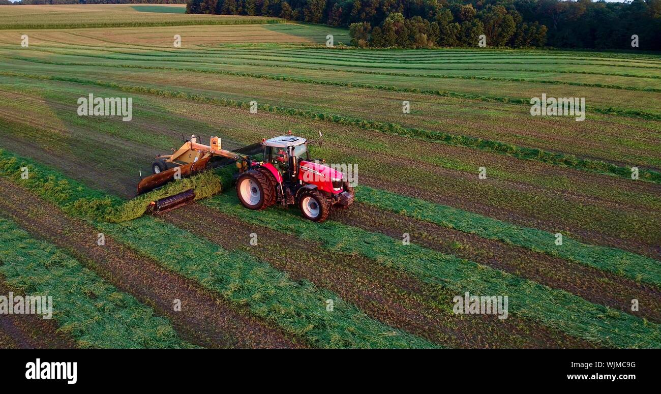 Aerial view of red Massey Ferguson 1880 tractor mowing and cutting ...
