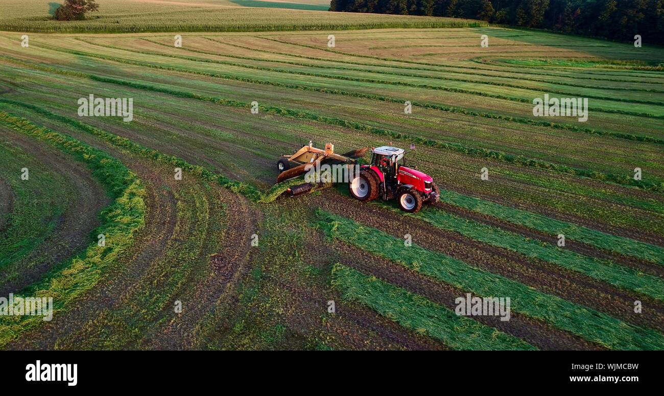 Aerial view of red Massey Ferguson 1880 tractor mowing and cutting ...