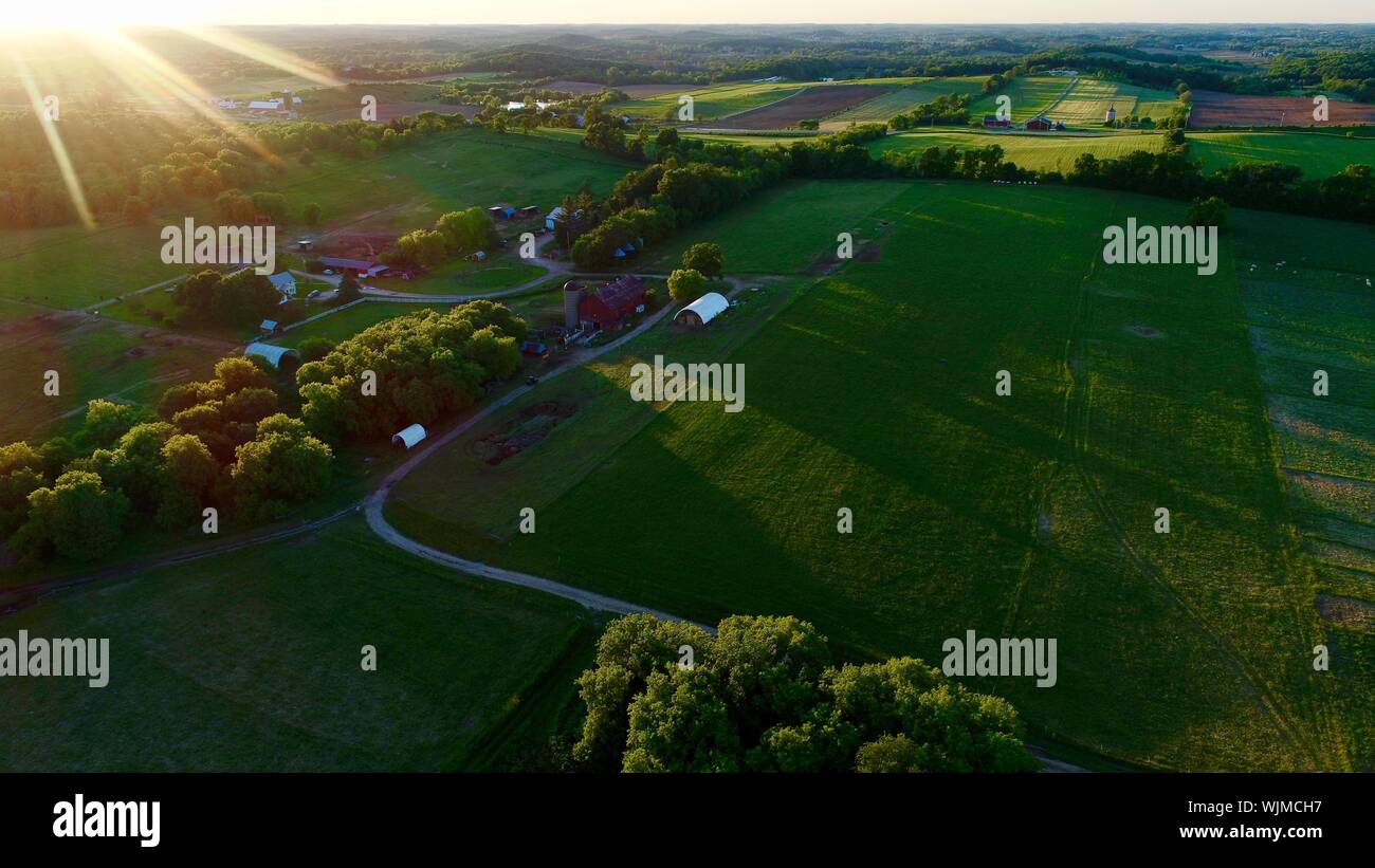 Aerial view at sunset over Brattset Family Farm, an organic beef farm ...