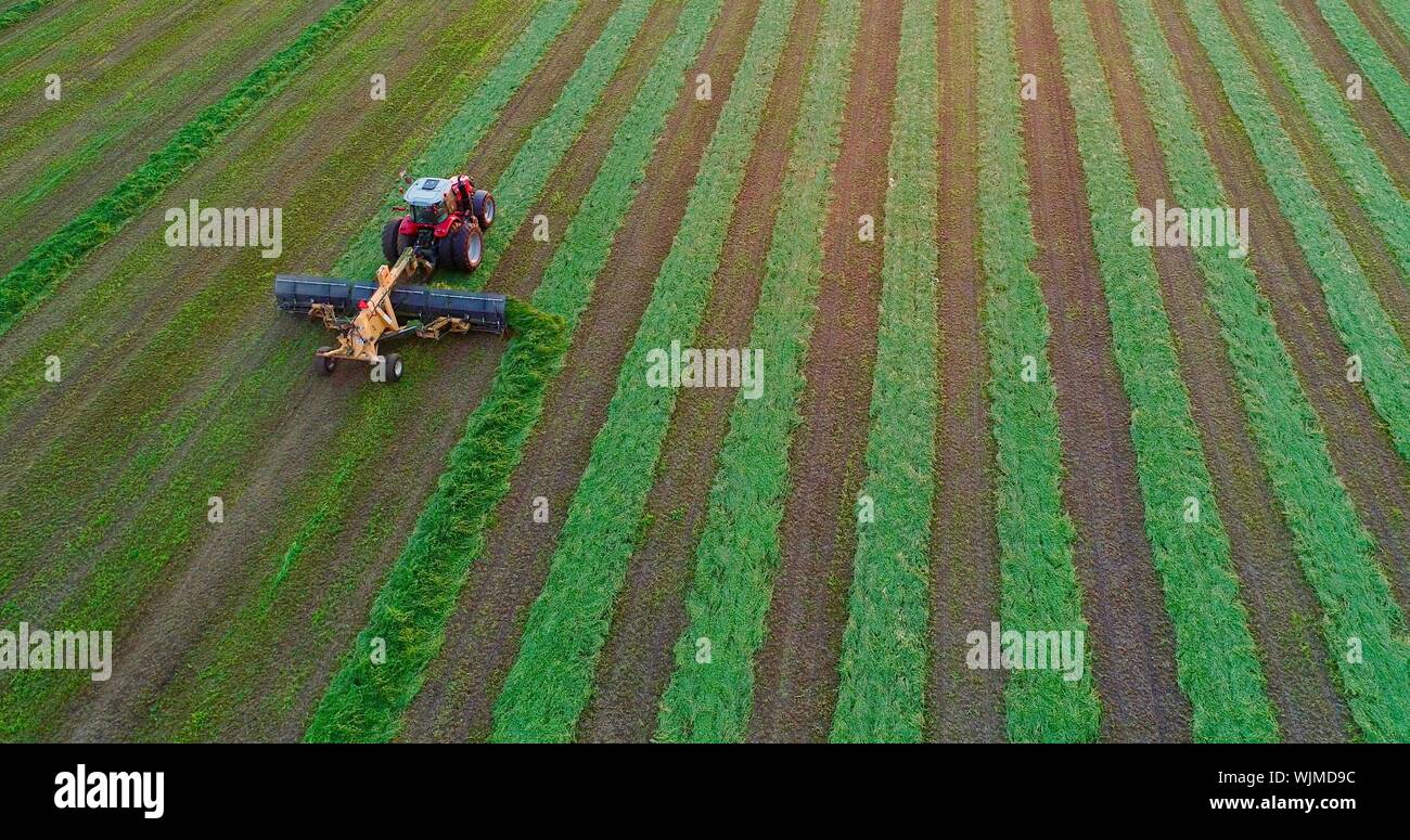 Aerial view of red Massey Ferguson 1880 tractor mowing and cutting ...