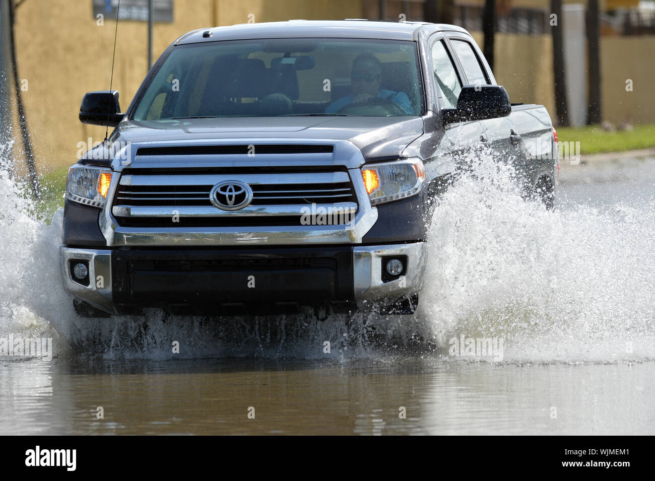FLORIDA - 2019: BEST OF HURRICANE - Stock Photos People: Hurricane ...