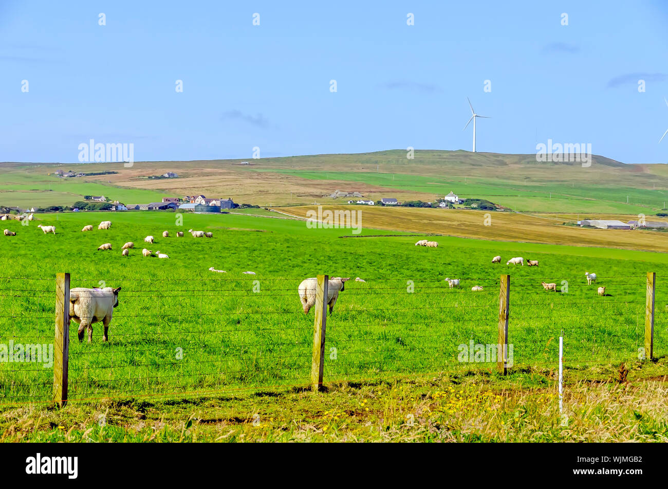 Green fields hi-res stock photography and images - Alamy