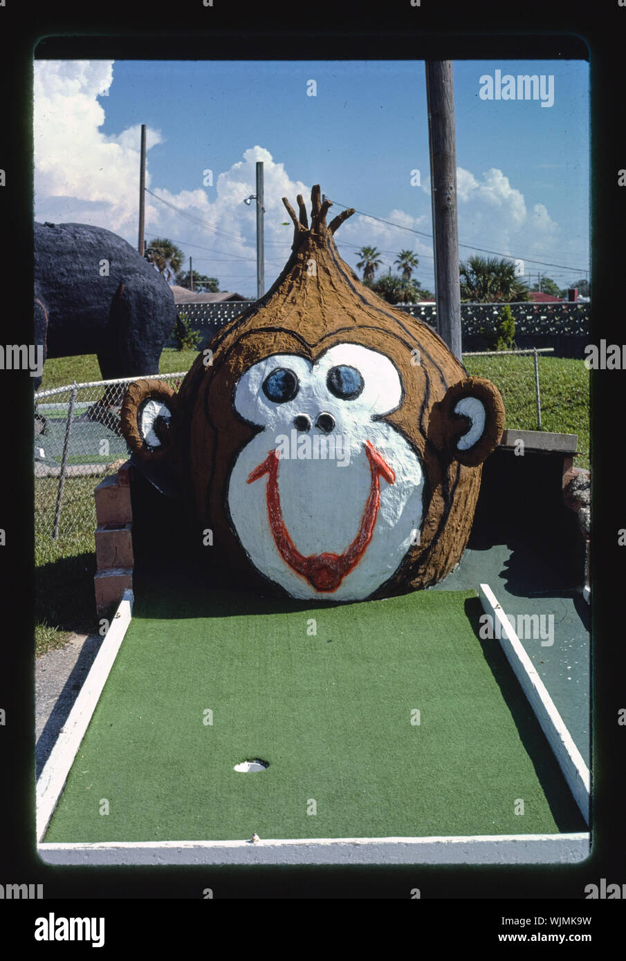 Golf nut hi-res stock photography and images - Alamy