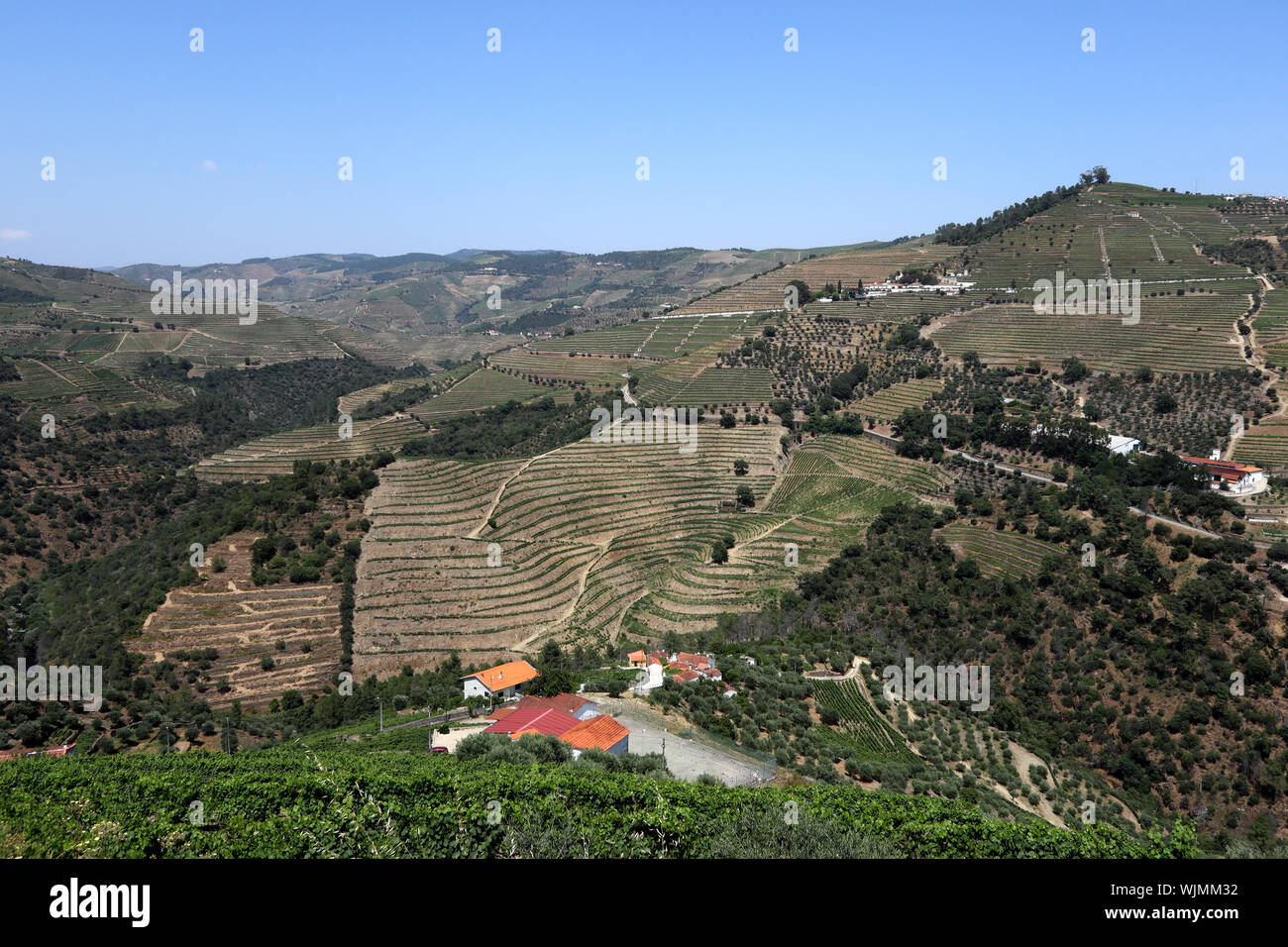 Terraced vineyard hi-res stock photography and images - Alamy