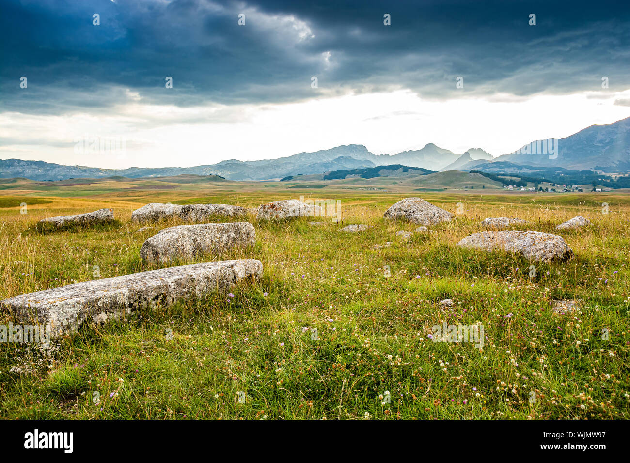 Stecci hi-res stock photography and images - Alamy