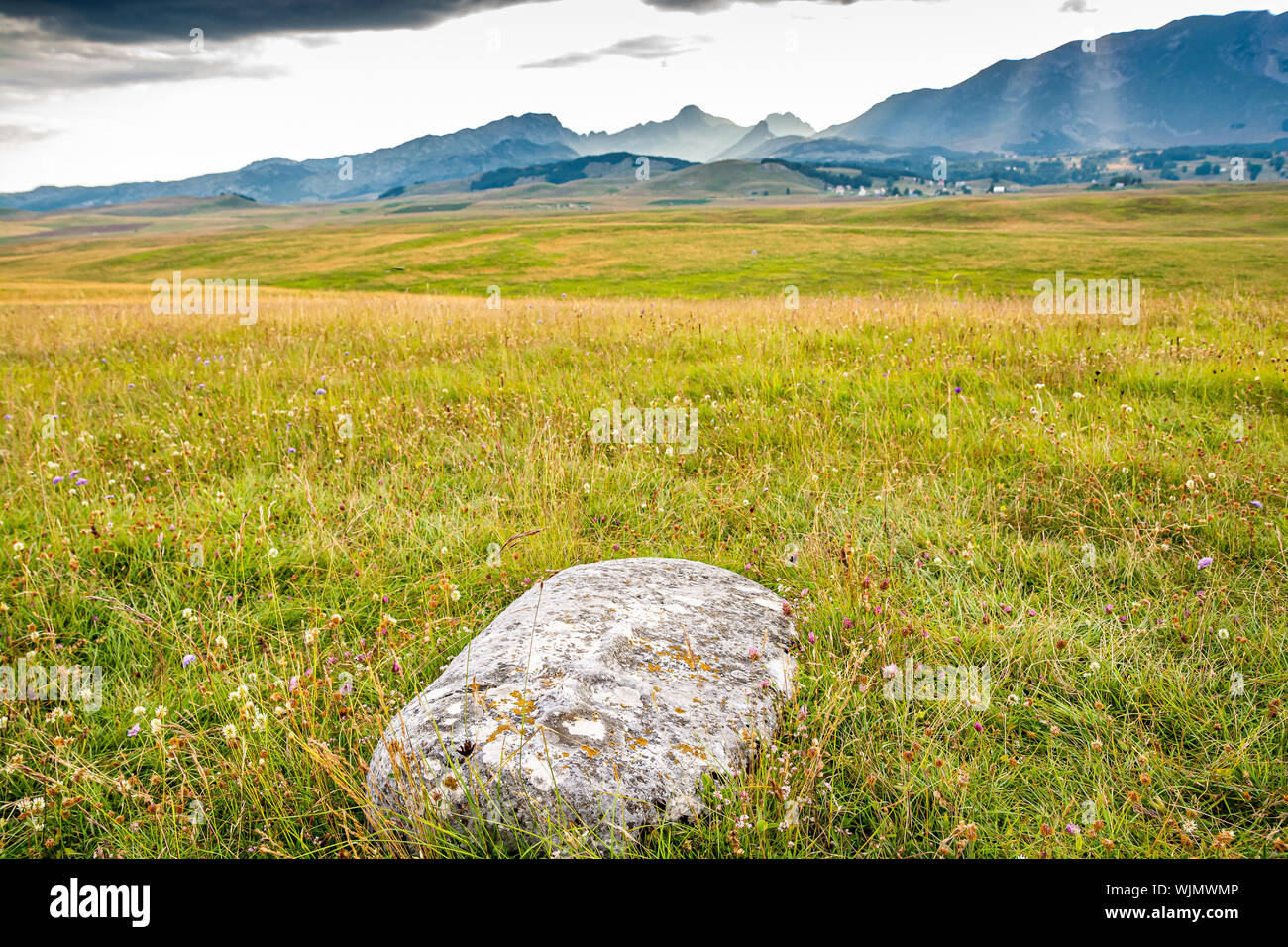 Old stecci in Novakovici, Durmitor, Montenegro, Europe Stock Photo - Alamy