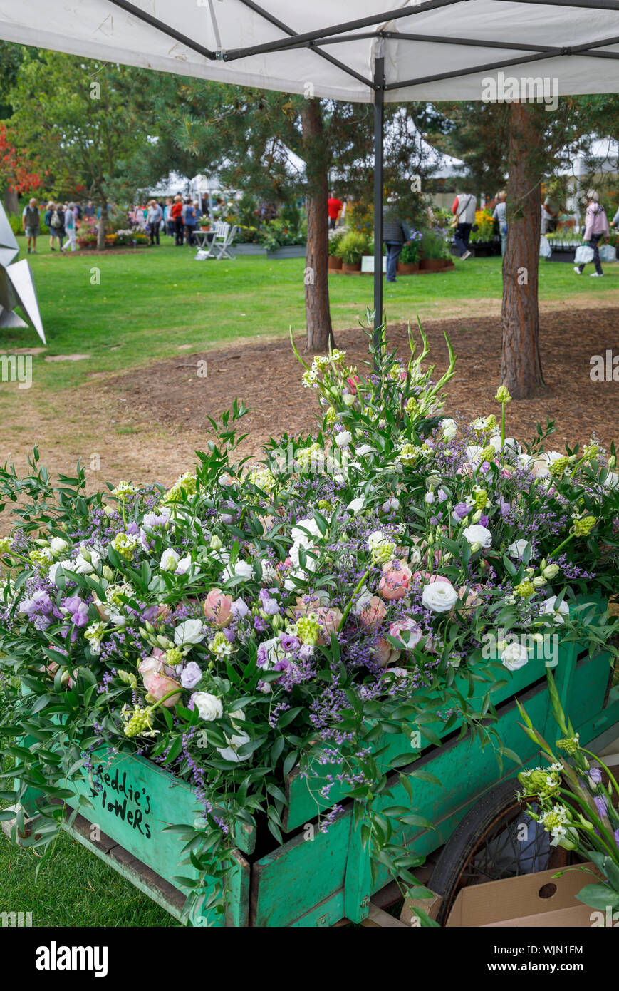 Display of flowers in a barrow in a stall at the September 2019 Wisley ...