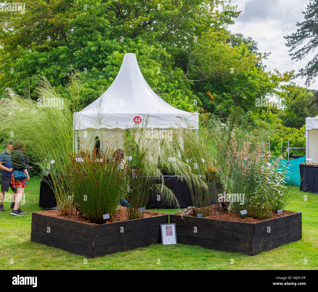 Stall and display of ornamental grasses at the September 2019 Wisley ...