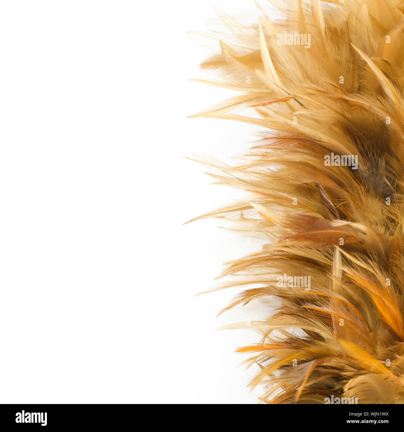 Feather broom isolated on white background Stock Photo - Alamy