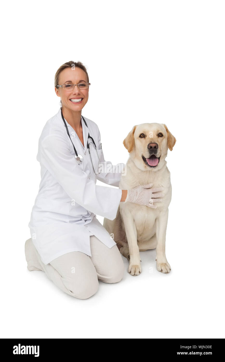 Happy vet petting yellow labrador dog smiling at camera on white ...