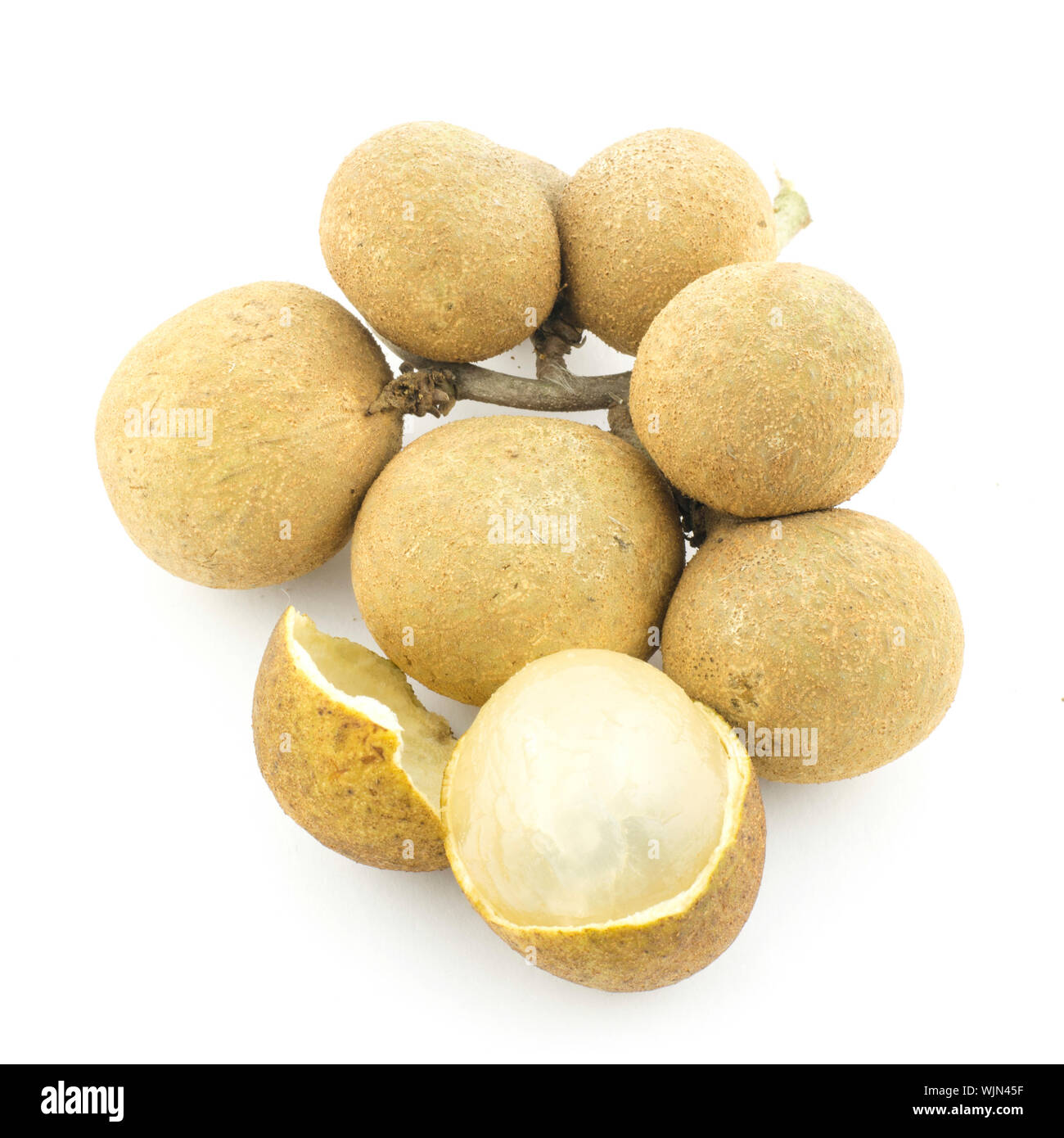 Longan isolated on white background Stock Photo - Alamy