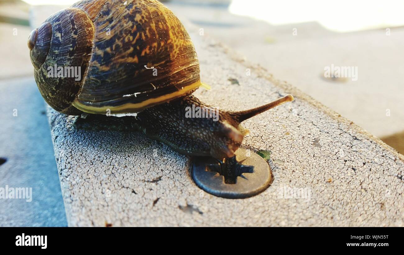 Retaining screw hi-res stock photography and images - Alamy