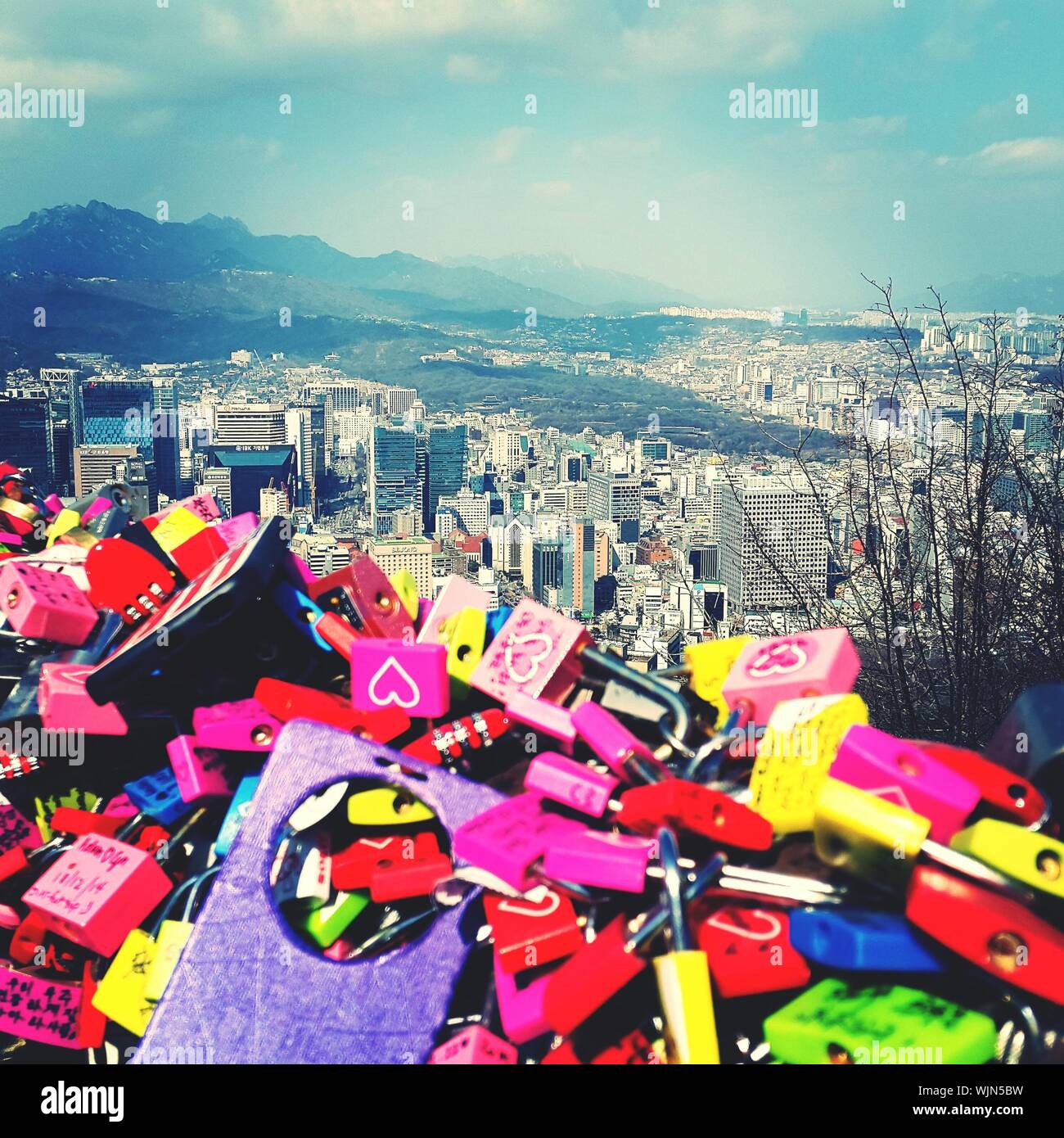 Foreground objects hi-res stock photography and images - Alamy