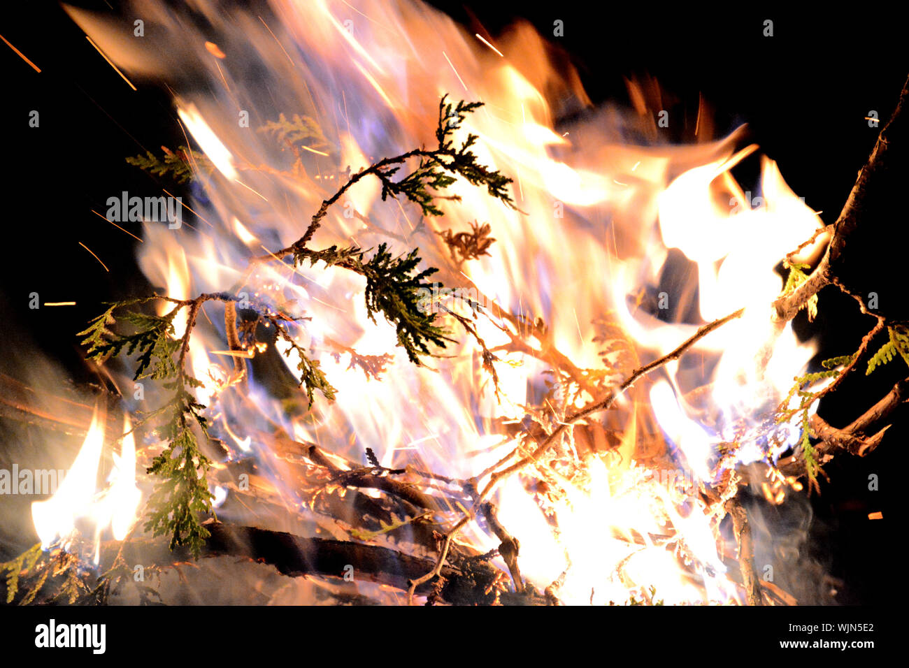 Tree burning hi-res stock photography and images - Alamy